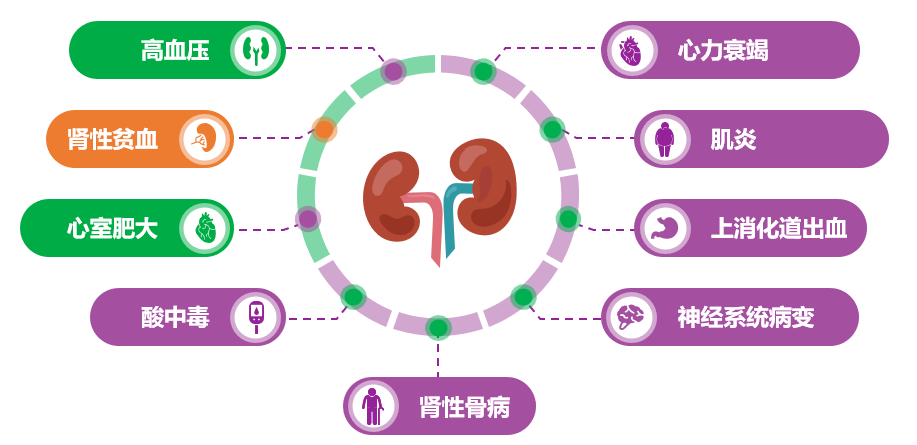 壹生资讯-一文全面掌握CKD管理